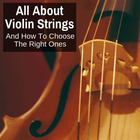 Violin Strings Guide And How To Choose The Right Ones
