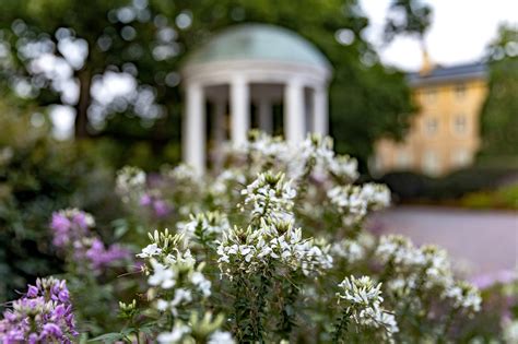 Unc Chapel Hill Extends Enrollment Deadline To May 15 For Incoming