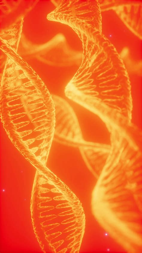 Structure Of The Dna Double Helix Animation 44236195 Stock Video At Vecteezy