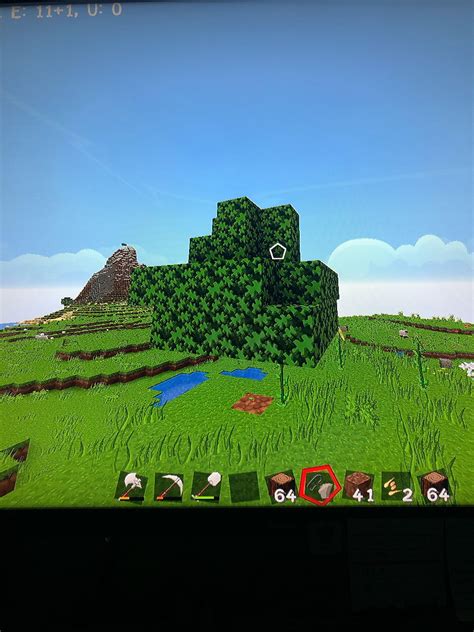Version 1 16 5 Java Why Dont The Leaves Despawn Ive Been Standing