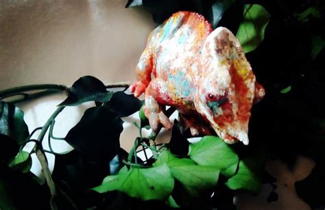 Поделки из отходов своими руками урок изготовления поделок из мусора пошаговый мастер класс с