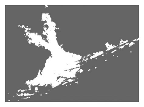 Binarized Image With Maximum Between Class Variance Method Download Scientific Diagram