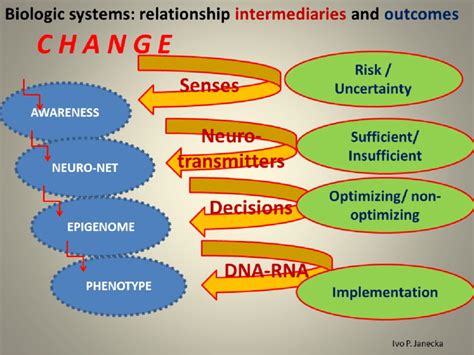B Options That May Activate Systems Paths Download Scientific Diagram
