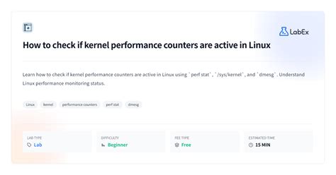 Linux 커널 성능 카운터 활성 상태 확인 방법 Perf Stat Dmesg 활용 Labex