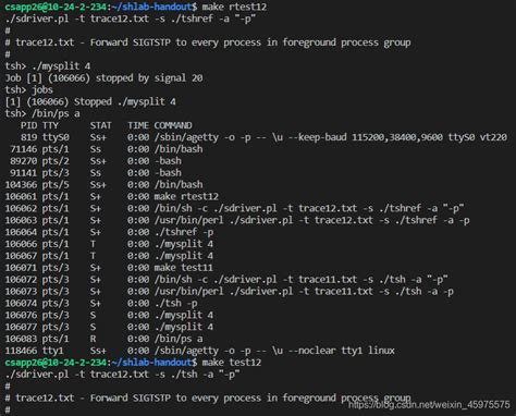 Csapp Shelllab实验csappshelllab实验 Csdn博客 Csapp Shelllab实验csappshelllab实验 Csdn博客