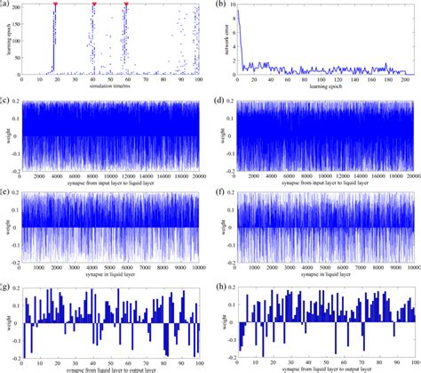 The Complete Spike Train Learning Process Of Lsms That Is Trained By