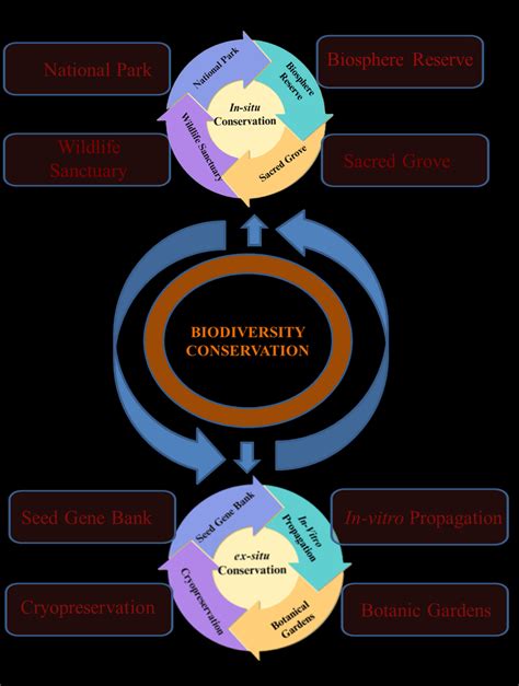 Biodiversity Conservation Methods Download Scientific Diagram