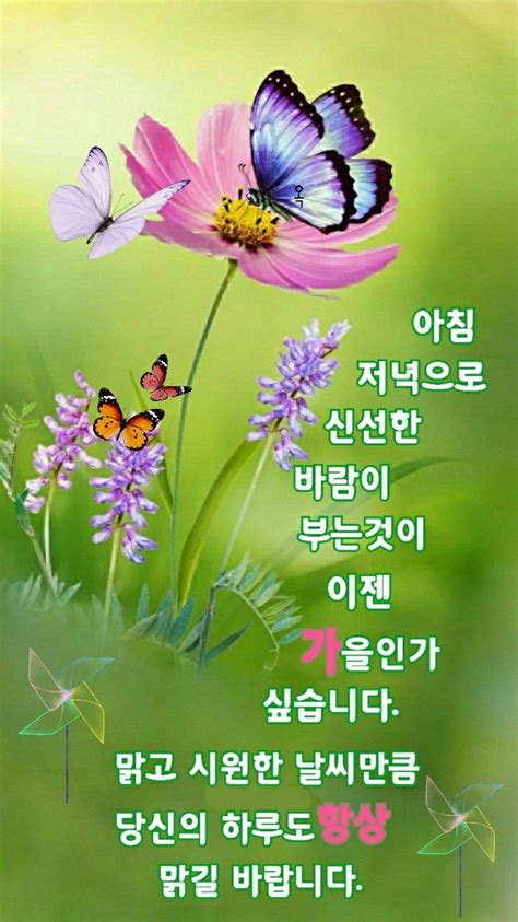 가을배경에 있는 유경 김님의 핀 생일 축하 그림 감사 이미지 아침 이미지