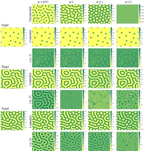 Figure 5 From The Impact Of Heterogeneous Human Activity On Vegetation Patterns In Arid
