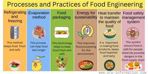 Food Engineering Goals Processes Practices And Technologies