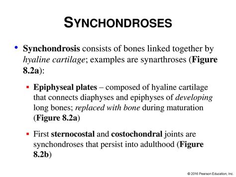 Erin C Amerman Florida State College At Jacksonville Ppt Download