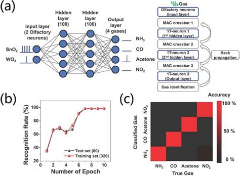 Recent Advances In Neuromorphic Transistors For Artificial Perception Applications Focus Issue