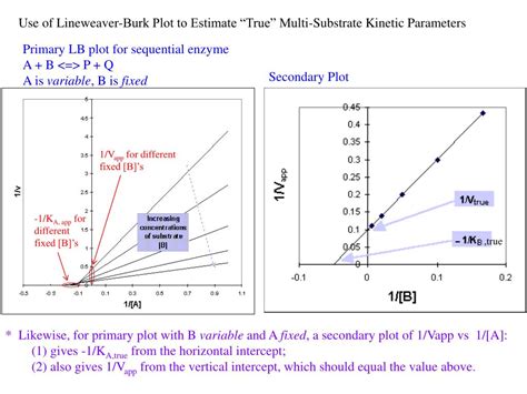 Ppt Deriving Kinetic Parameters And Rate Equations For Multi Substrate