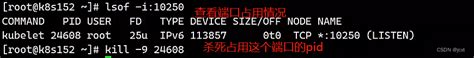 k8s常见错误 kubelet 初始化失败 csdn博客