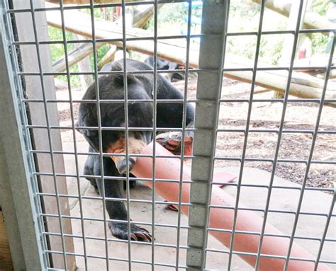 Joseph Chittenden On Linkedin Entarch Enterprisearchitecture