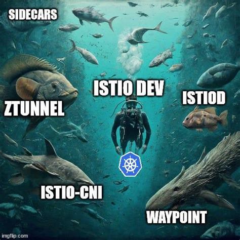Donald Lutz On Linkedin Touring The Kubernetes Istio Ambient Mesh — Part 1 Setup Ztunnel
