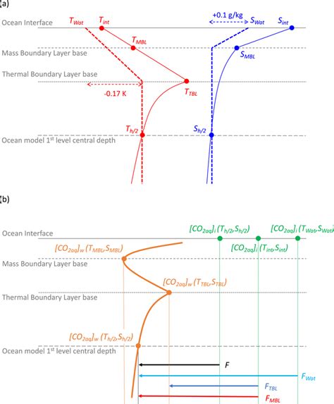 Schematic Of A Temperature Red And Salinity Blue Profiles Below