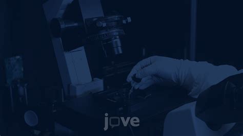 Мультимодальная пространственная метаболомика с микроскопом среднего инфракрасного диапазона