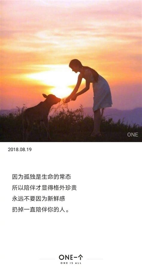 以前我看到 “所爱隔山海 山海不可平”当时我觉得 “海有舟可