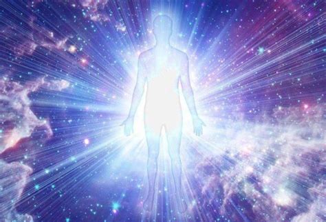 Morphogenetic Fields SHIFT