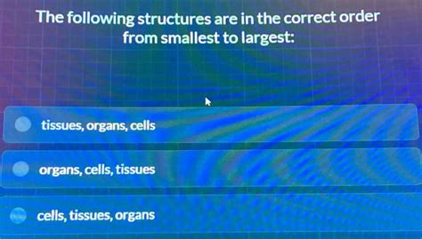 solved the following structures are in the correct order from smallest