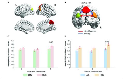 Voxel Wise Functional Connectivity Analyses Validate Graicar Download Scientific Diagram