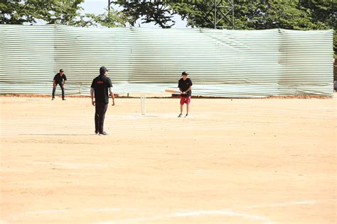 10th Anniversary Setner