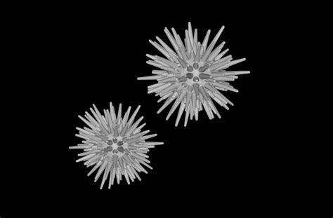 Example Use Of The Attribute Randomize Node In Houdini John Player