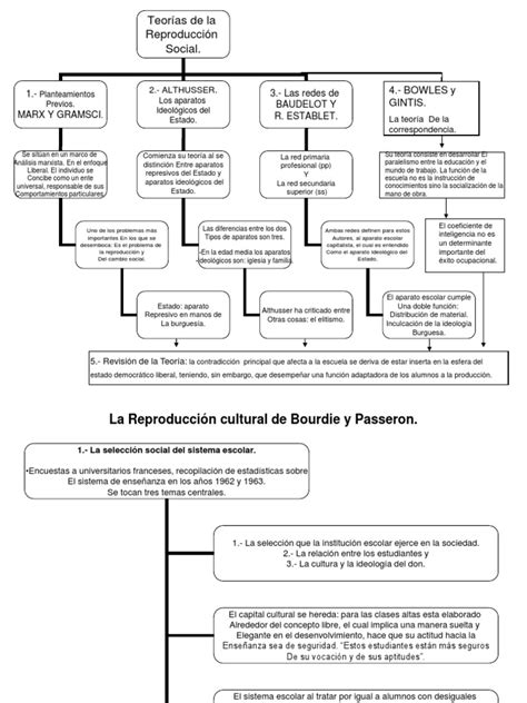 Teoría Sociológica De La Educación Aprendizaje Sociología