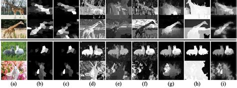 Some Challenging Examples For Our Co Saliency Detection A Image Download Scientific Diagram