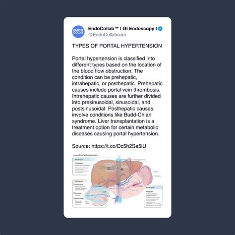 Endocollab Gi Endoscopy Community Common Types Of Pancreatic Cysts And Their Characteristics