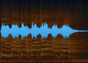 Understanding The Spectrogram Waveform Display Help Documentation