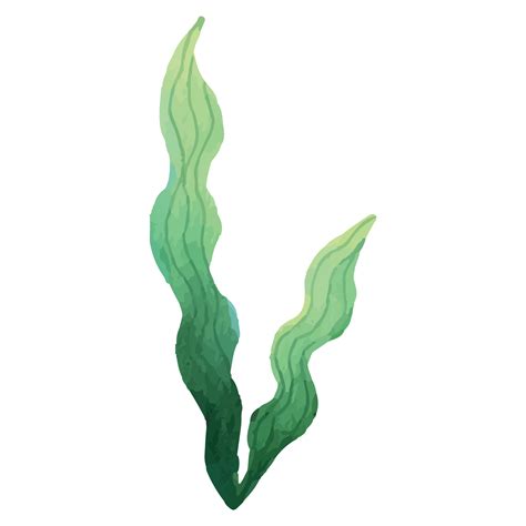 Clip Art Seaweed