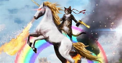 Somebody Needs To Ps Grumpy Cat Into This Imgur