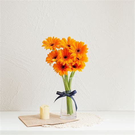 신비의 꽃 거베라 오렌지 초콜릿 미니 케이크 원모먼트