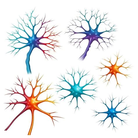 Premium Vector Synapses Vector Set White Background Isolated A High