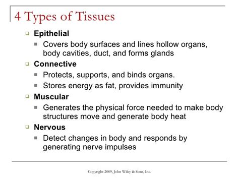 The Tissue Level Of Organization Basic Anatomy And Physiology Levels