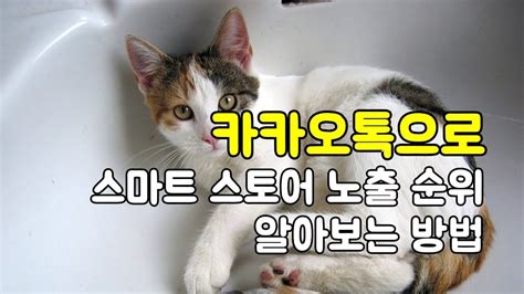 스마트 스토어 상품 노출 순위 네이버 키워드 조회수 카카오톡으로 쉽게 조회하는 방법 YouTube