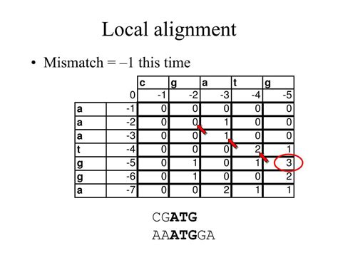 Ppt Sequence Alignments Powerpoint Presentation Free Download Id