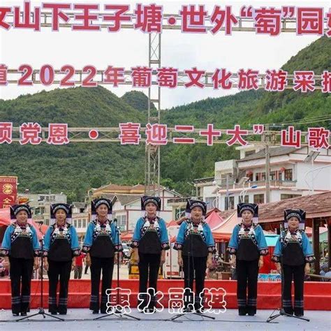 涟江街道葡萄文化旅游采摘节 山歌大赛助丰收 惠水 进行 会议
