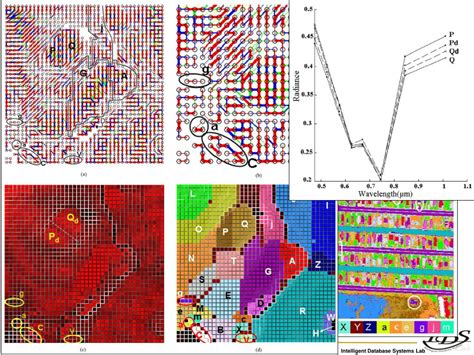 Ppt Exploiting Data Topology In Visualization And Clustering Of Self