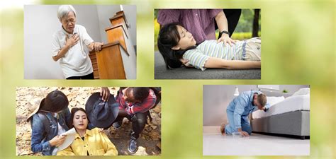 Stem Cells Based Organ For Parathyroid Treatment Happiest Health