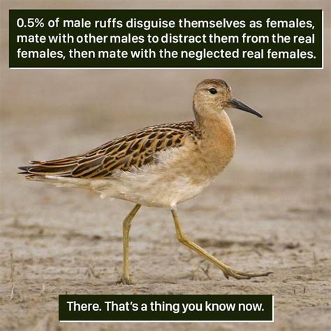 116 Times Nature Proved Its Too Weird For Us To Handle Bored Panda