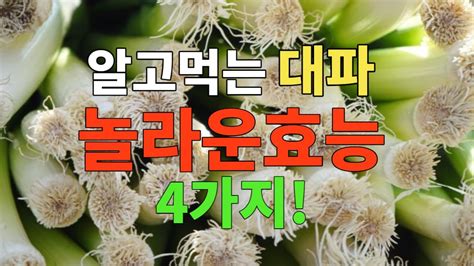 알고먹는 대파 놀라운효능 0031 Youtube