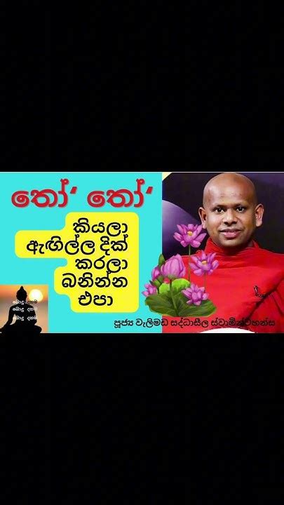 පිංවත්නි මොණර නැටුම් නටන්න එපා 🙏🙏🙏🙏🙏 Youtube