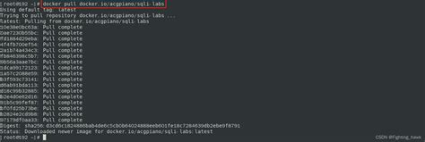 【环境搭建】docker上搭建sqli Labs漏洞环境docker Sqli Labs Csdn博客