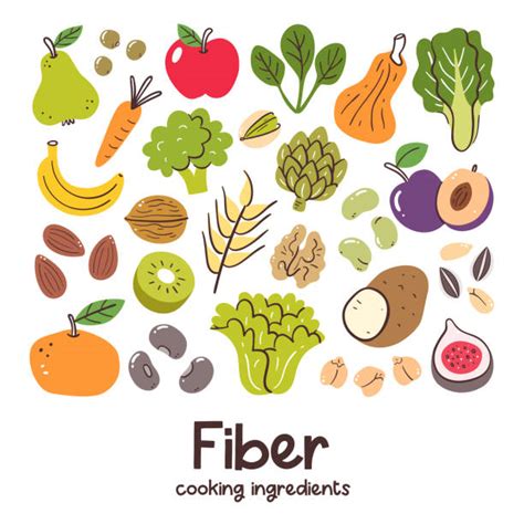 22700 Alimentos Con Fibra Ilustraciones De Stock Gráficos Vectoriales Libres De Derechos Y