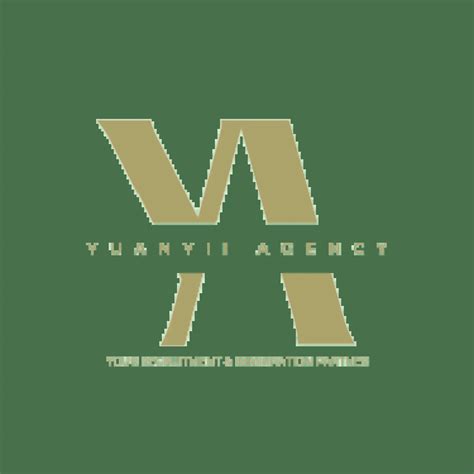 3 Common Types Of Work Pass Yuanyii Agency