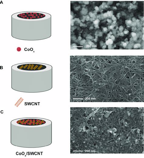 Diagram Of The Electrode Components And Fe Sem Images At 50 000× Of A Download Scientific